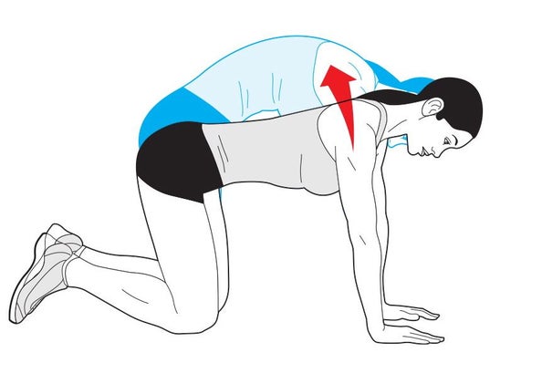 6 Exercises To Build Core Strength – Triathlete