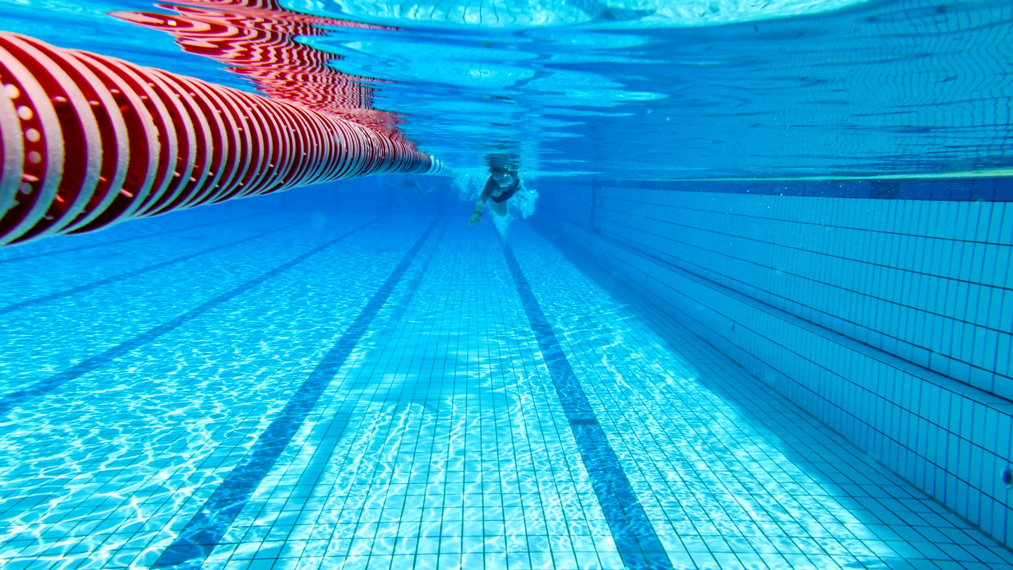 Swim Vocabulary 101 – Triathlete