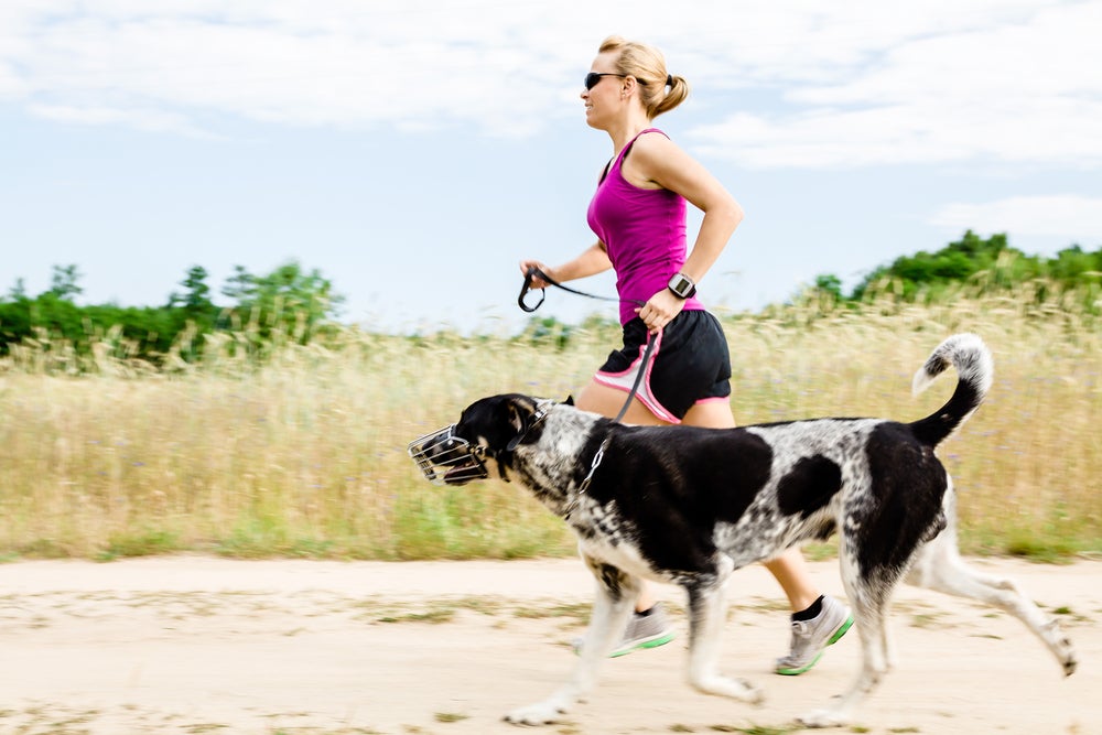 One-Hour Workout: Strength Work With Your Dog – Triathlete