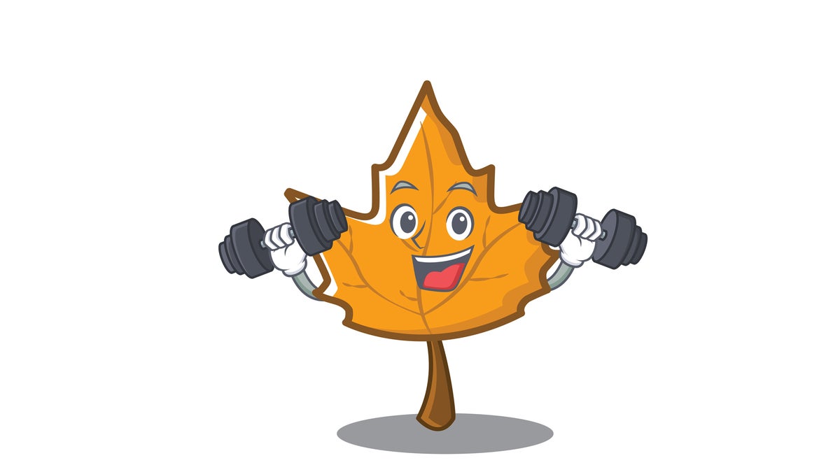 Can You Handle This Thanksgiving Fitness Challenge? – Triathlete