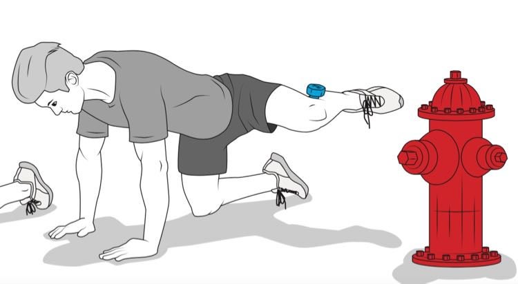 These Goofy Strength Moves Will Get You Serious Results – Triathlete