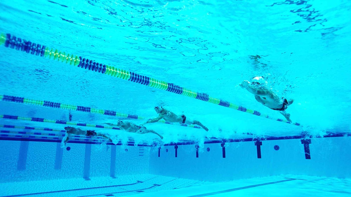Do’s, Don’ts, and Drills for Every Part of the Freestyle Swim Stroke ...