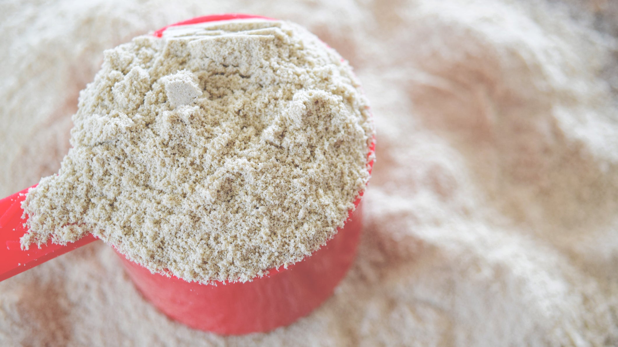 Ask Stacy: Which is Better, Whey or Plant Protein? – Triathlete