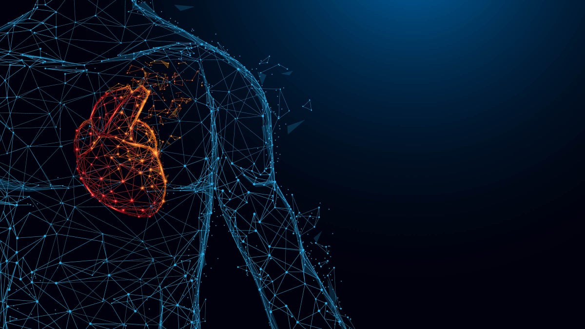 Understanding the Athlete's Heart – Triathlete