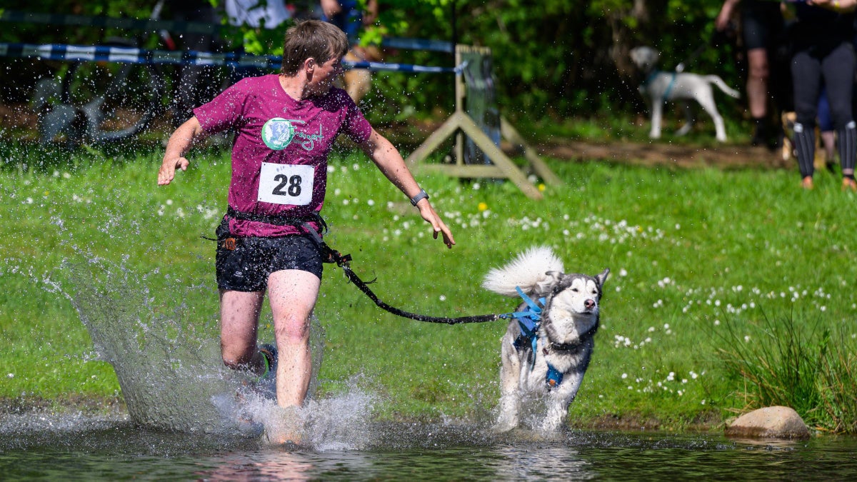 This Dog Triathlon is Exactly as Adorable as You'd Expect – Triathlete