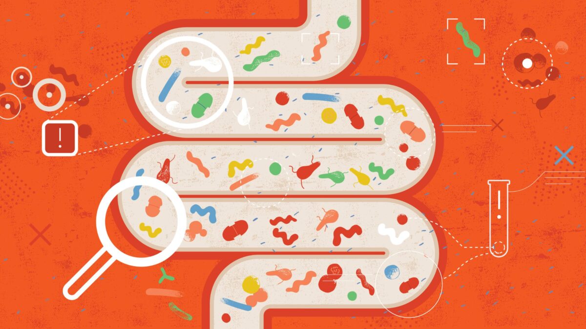 Everything You Ever Wanted To Know About The Microbiome (But Were Afraid To Ask) – Triathlete