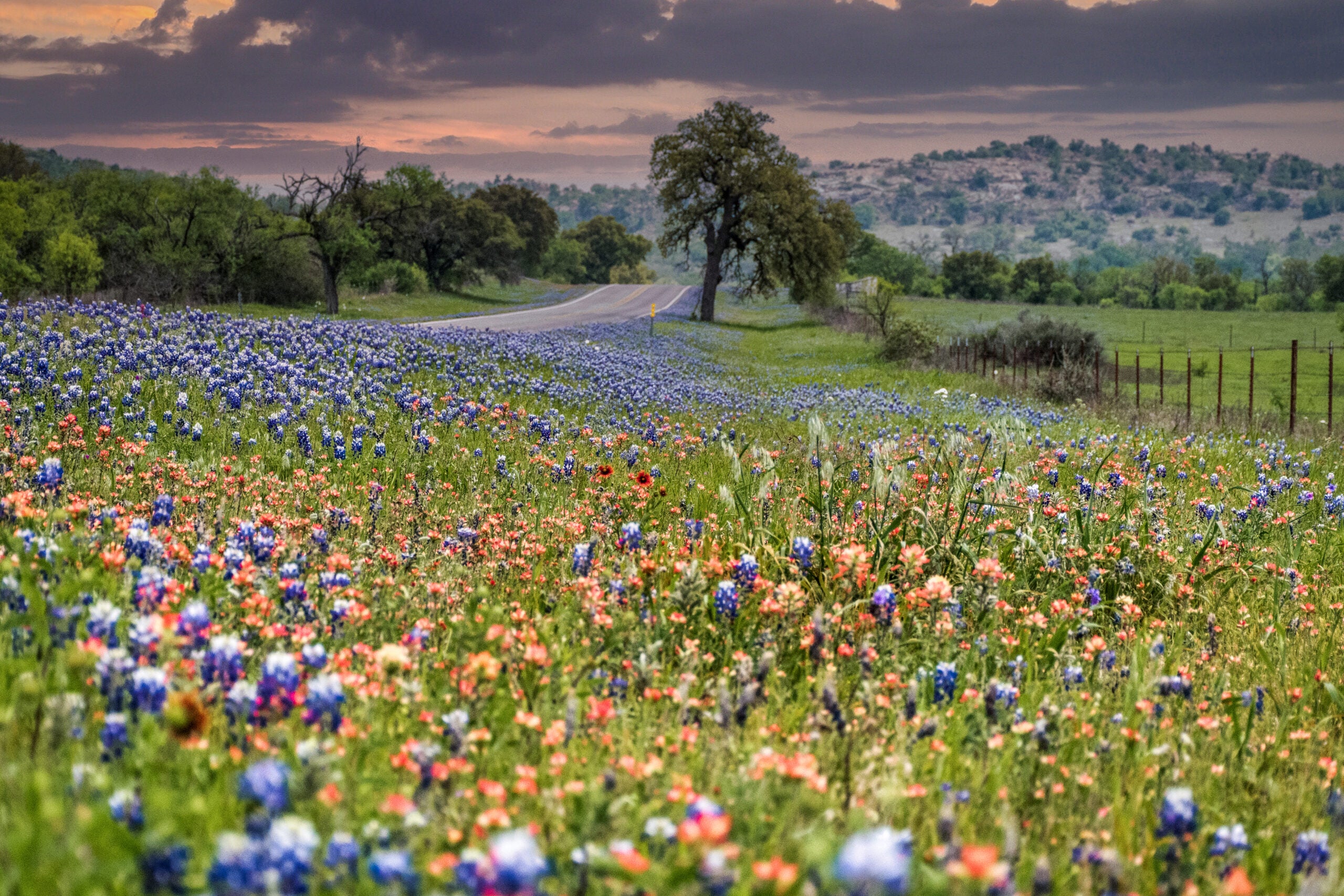 The 20 Most Memorable Bike Routes in the USA – Triathlete
