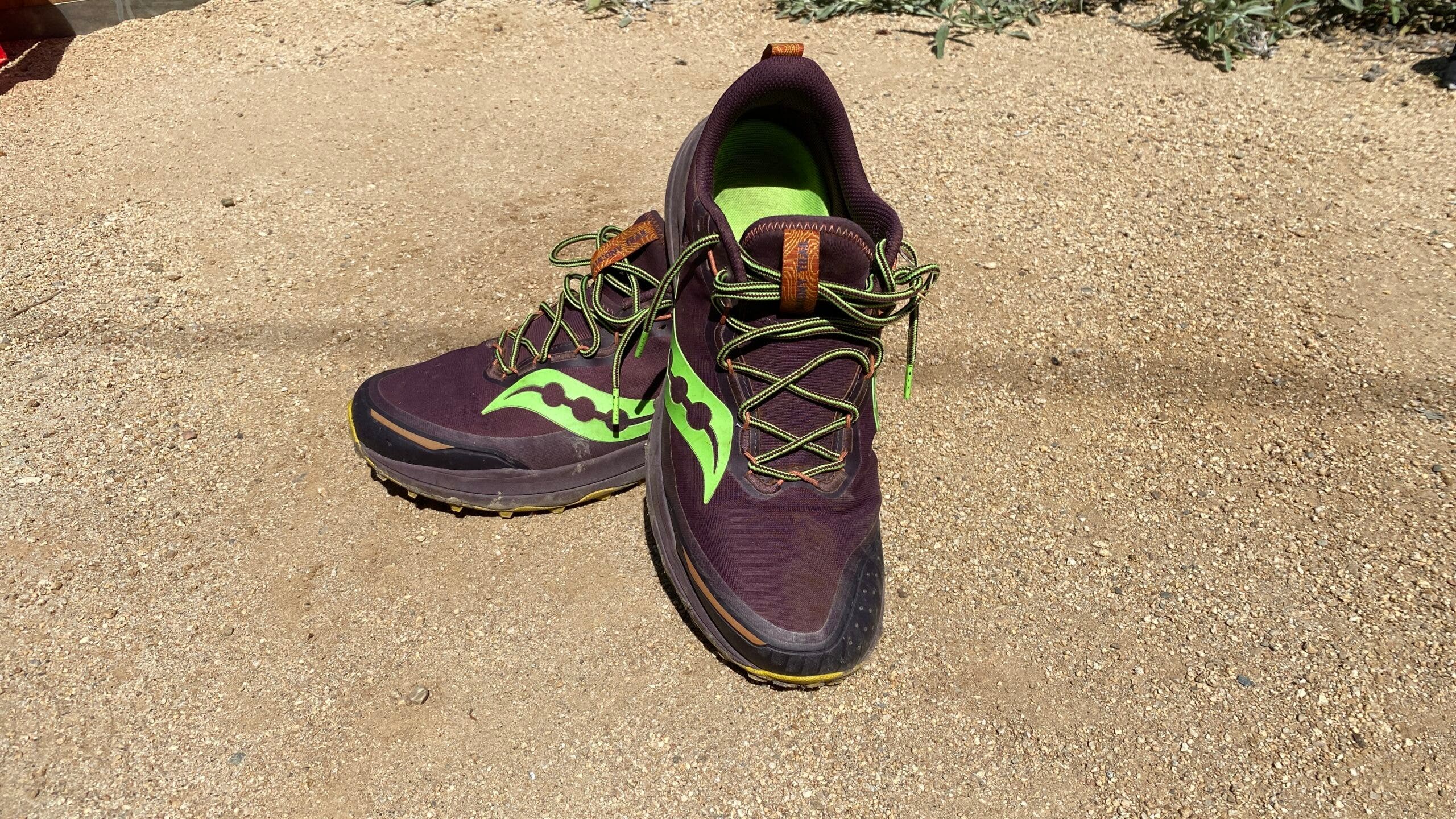 High-Cushion Trail Running Shoes for the Long Run