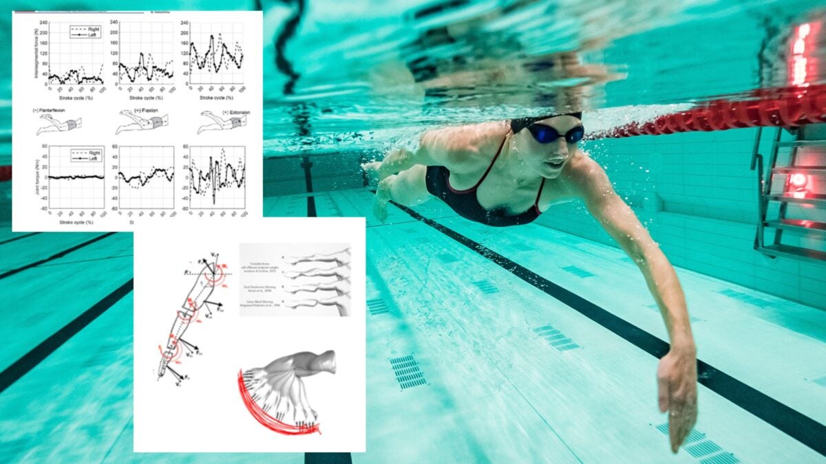 What We (Still) Don’t Know About the Science of Swimming – Triathlete