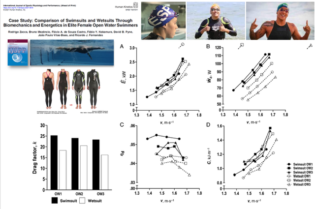 What We (Still) Don’t Know About the Science of Swimming – Triathlete