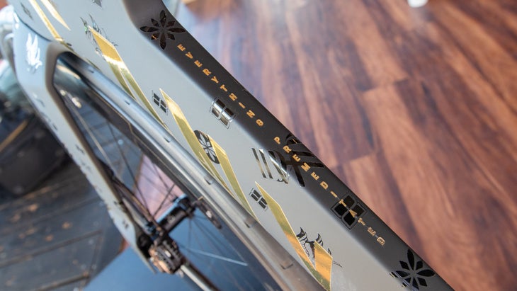 Sam Laidlow's 2024 Ironman World Championship Canyon Speedmax CFR