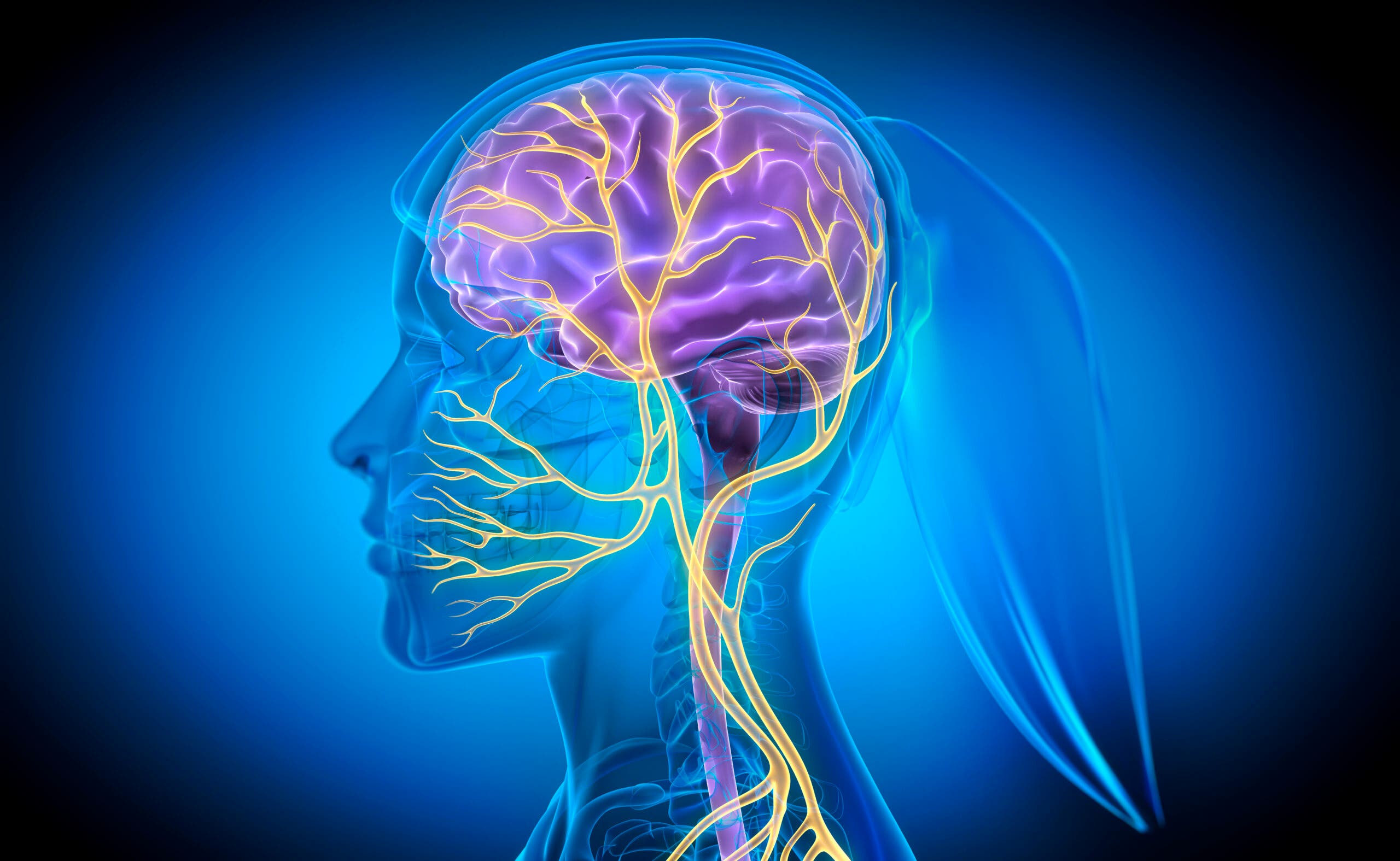 Can Vagus Nerve Stimulators Really Boost Athletic Recovery?