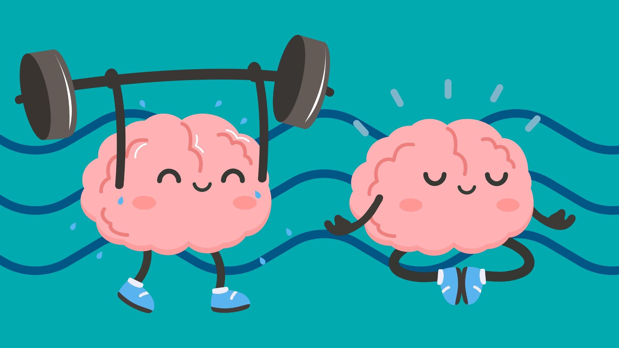 What Happens to Your Brain When You Take Time Off from Training ...